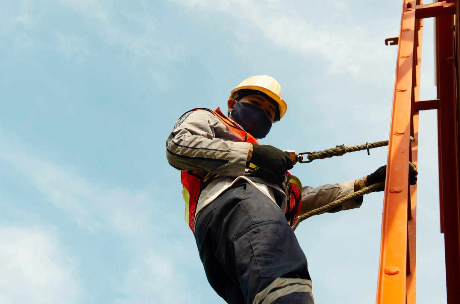 Work Breakdown Structure Example | Proteus Project Software